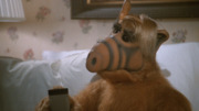 Project: ALF DVD