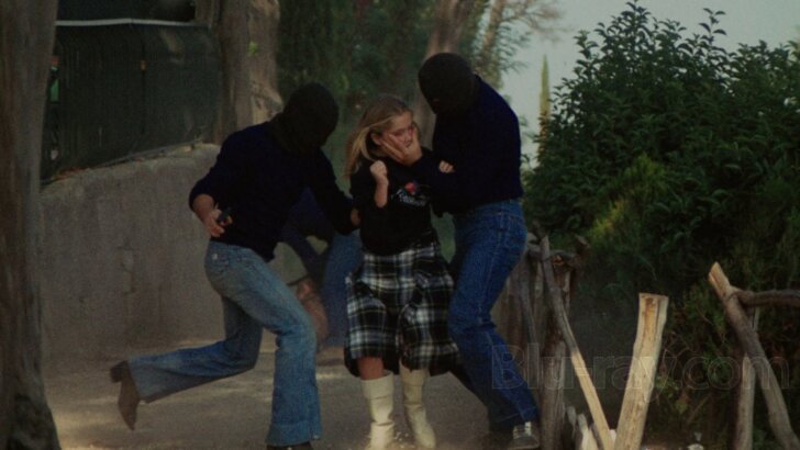 Magnum Cop Blu-ray (Fearless Fuzz / Fatal Charm / The Private Detective ...