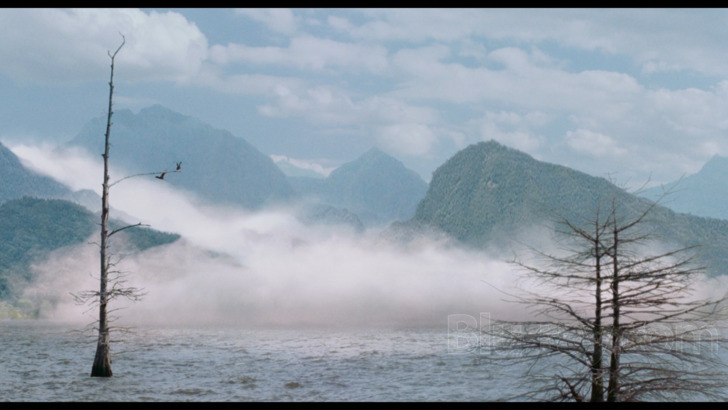 The Mist 4K Blu-ray (4K Ultra HD + Blu-ray + Digital 4K)