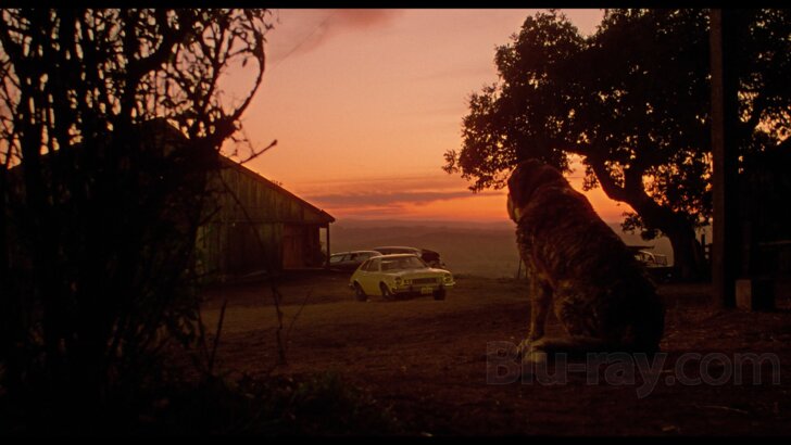 Cujo Blu-ray (40th Anniversary Edition)