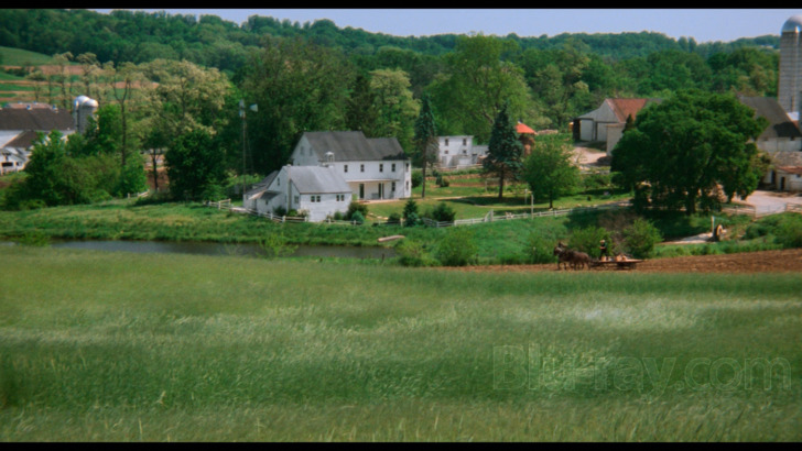 Witness 4K Blu-ray (Limited Edition)