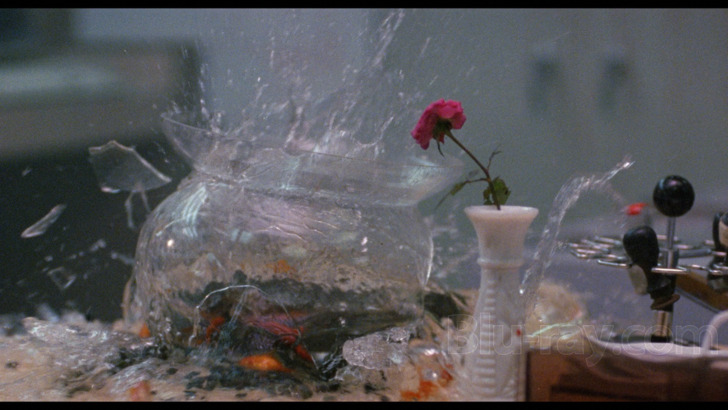 The Blue Jean Monster Blu-ray