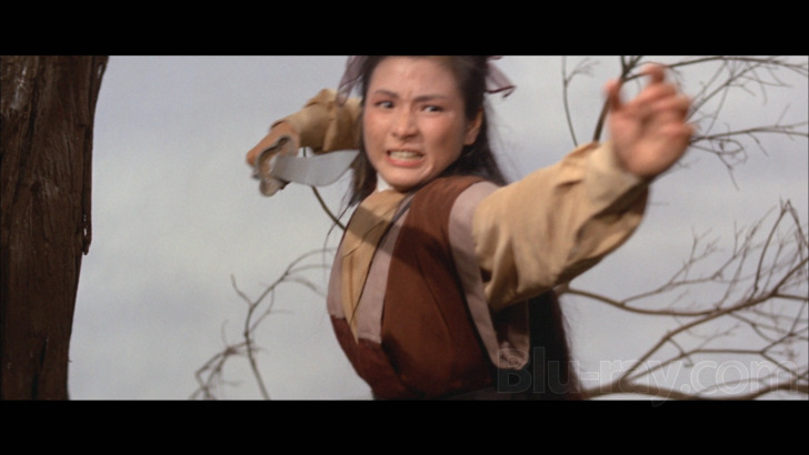 The Jade Raksha Blu-ray (Yu luo cha / Yuk law chaat / 玉羅刹)