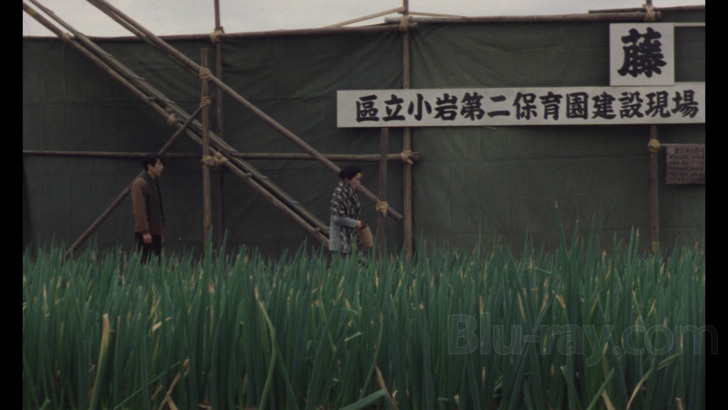 The Sting of Death Blu-ray (Shi no toge)