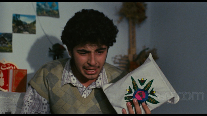 Dancing in the Dust Blu-ray (Raghs dar ghobar)