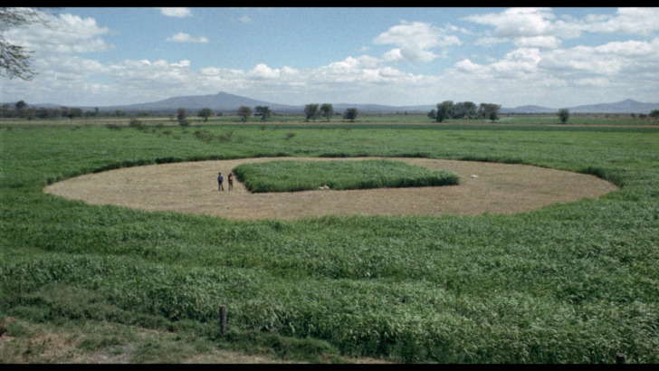 Phase IV 4K Blu-ray (4K Ultra HD + Blu-ray)