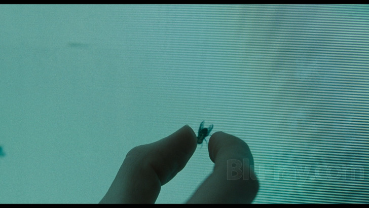 The Ring 4K Blu-ray (4K Ultra HD + Blu-ray)