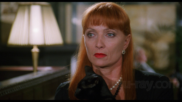 The Spider Labyrinth 4K Blu-ray (Il nido del ragno | Standard Retail ...