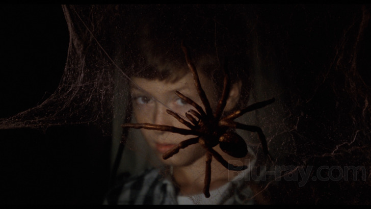 The Spider Labyrinth 4K Blu-ray (Il nido del ragno | Standard Retail ...