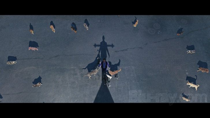 DogMan Blu-ray