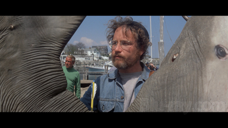 Jaws 4K Blu-ray (4K Ultra HD + Blu-ray + Digital 4K)