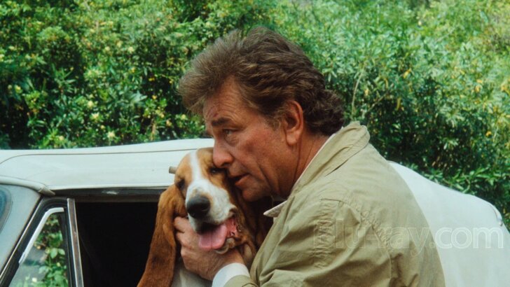 Columbo: The Return Blu-ray