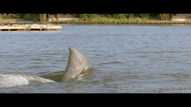 Jaws 3 4K + 3D Blu-ray (4K Ultra HD + Blu-ray 3D)