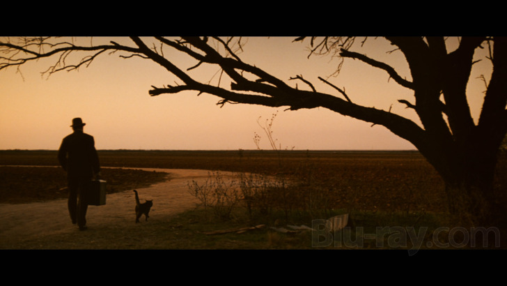 The Stars Fell on Henrietta Blu-ray (Warner Archive Collection)