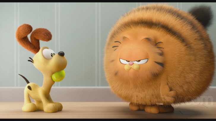 The Garfield Movie Blu-ray (Blu-ray + DVD + Digital HD)