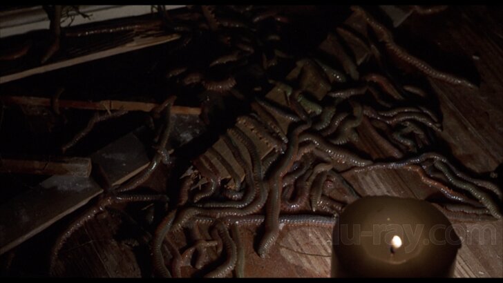 Squirm Blu-ray (Kino Cult #13)