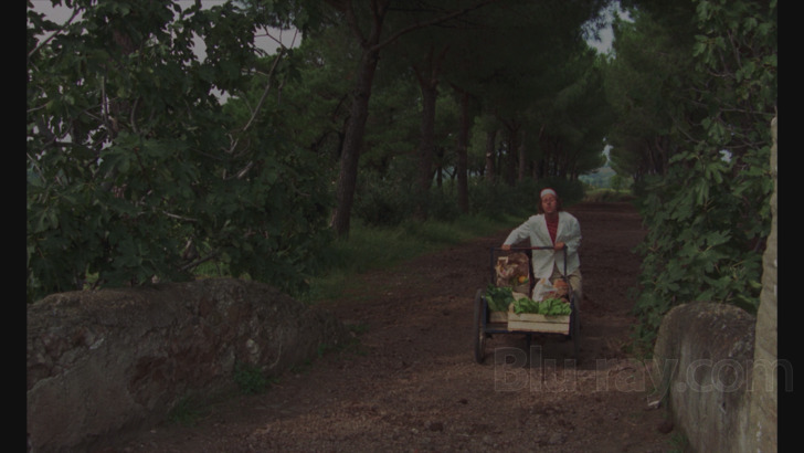 Torso 4K Blu-ray (I corpi presentano tracce di violenza carnale ...