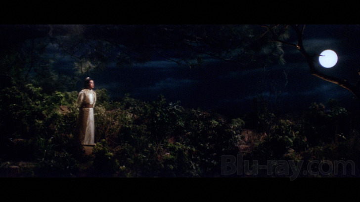 The Avenging Eagle Blu-ray (Leng xue shi san ying / 冷血十三鷹)