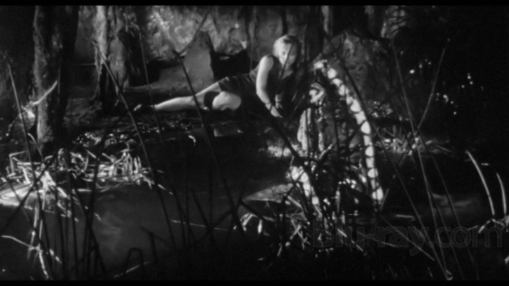 Attack of the Giant Leeches Blu-ray