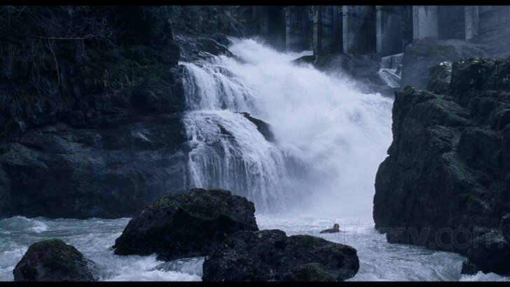 The Hunted 4K Blu-ray (4K Ultra HD + Blu-ray)