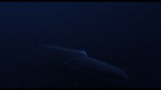 Below 4K Blu-ray (4K Ultra HD + Blu-ray)