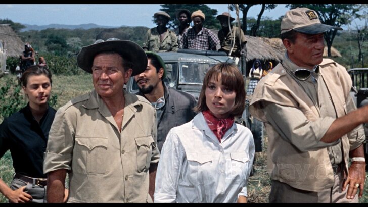 Hatari! Blu-ray (4K Restoration)