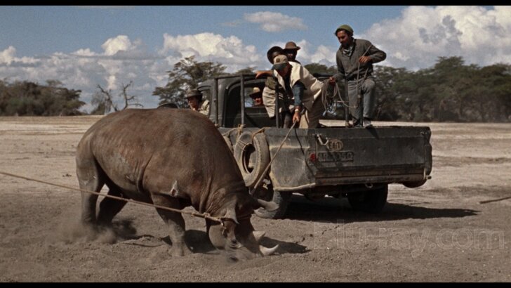 Hatari! Blu-ray (4K Restoration)