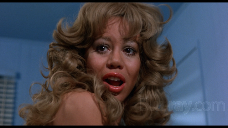 Ultravixens Beneath The Valley Of The Ultra Vixens (1979) 4K Review