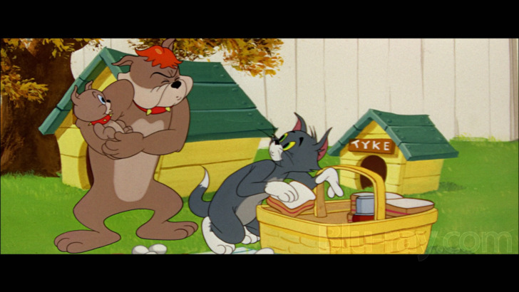 Tom And Jerry Cartoon Collection Archives - Infoupdate.org