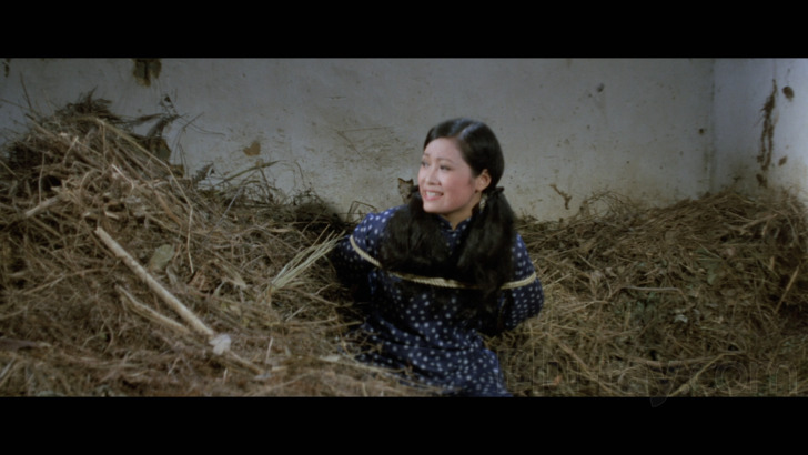 The Shaolin Boxer Blu-ray (Fook Gin Siu Lam kuen / Fu Jian Shao Lin ...