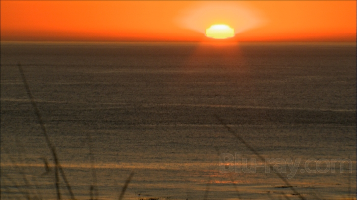 Big Sur: Wild California Blu-ray