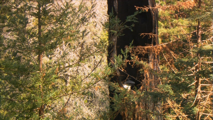 Big Sur: Wild California Blu-ray