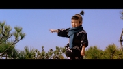Shogun Assassin DVD