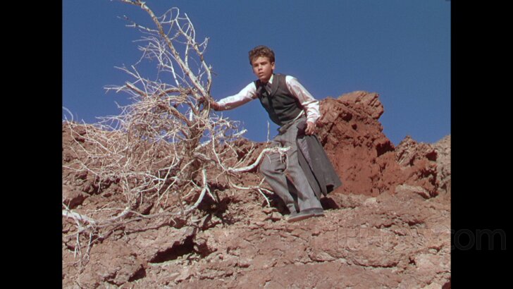 Cattle Drive Blu-ray