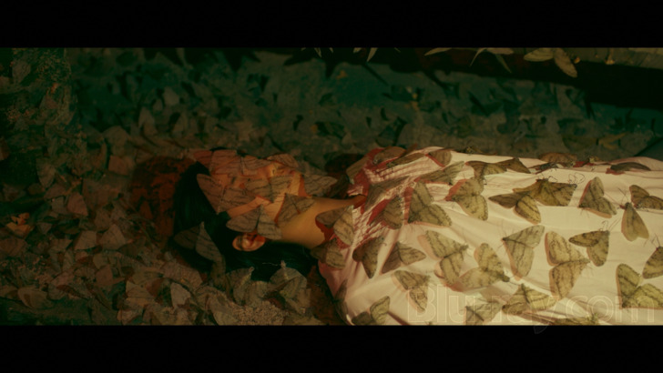 Devils Stay Blu-ray (사흘)