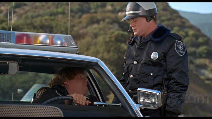 Black Sheep Gary Busey