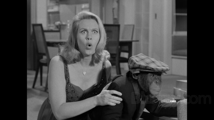 Bewitched: Seasons One and Two Blu-ray (Australia)