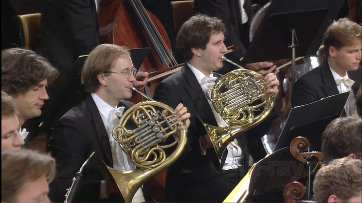 Wagner: The Ring Without Words Blu-ray