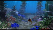 The Reef (2006)