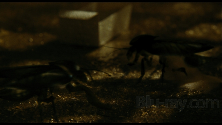 Mimic Blu-ray (The Director's Cut)