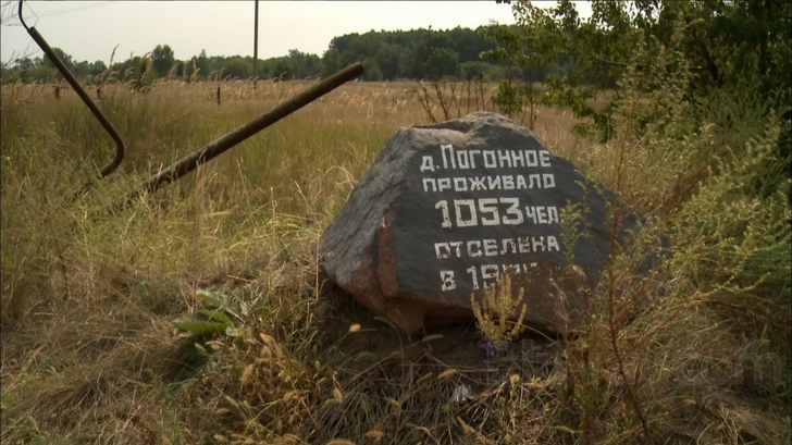 Radioactive Wolves Blu-ray (Nature: Radioactive Wolves)