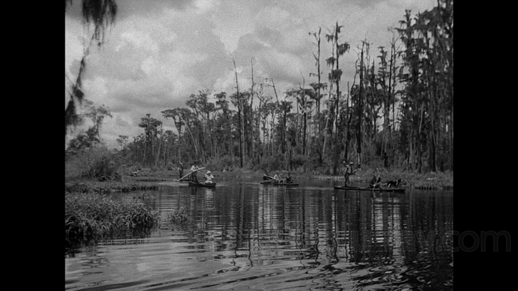 Swamp Water Blu-ray Release Date February 14, 2012 (Limited Edition to ...