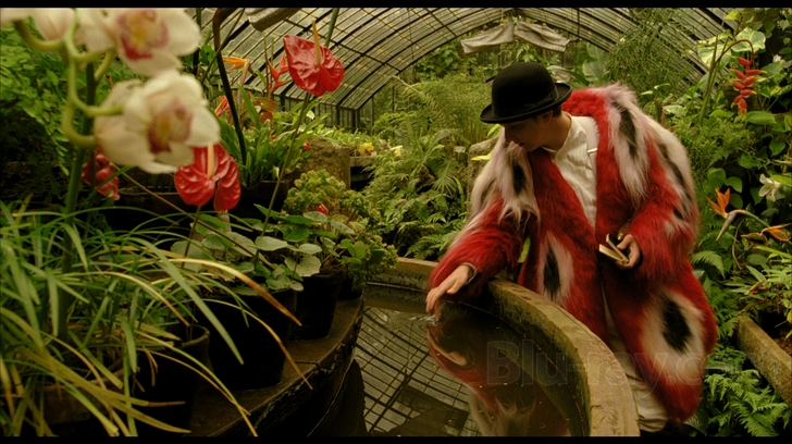 The Fall Blu-ray Release Date September 9, 2008