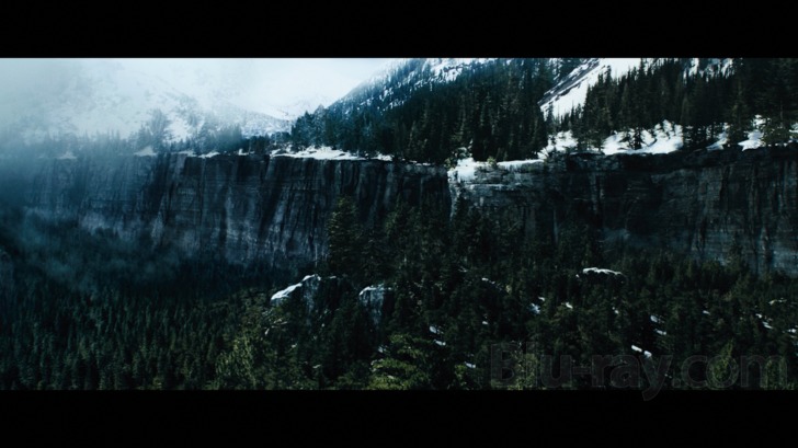 The Grey Blu-ray (Blu-ray + DVD)