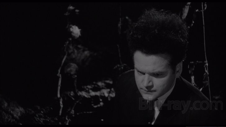 David Lynch Collection Blu-ray (Eraserhead / Dune / Blue Velvet / Wild ...