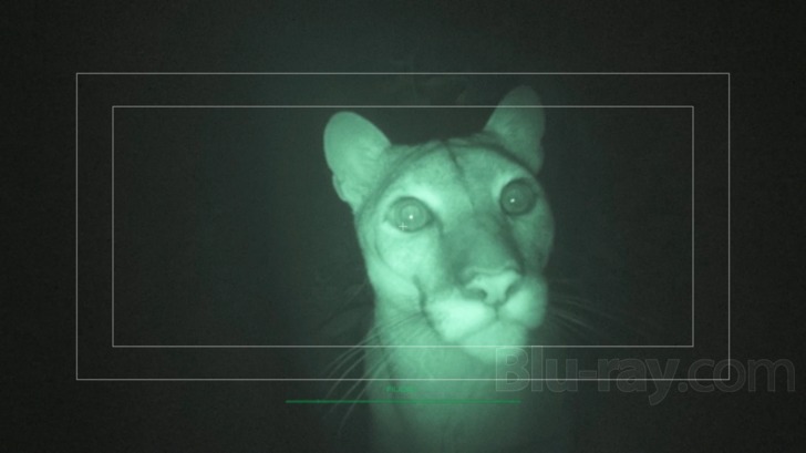 Alien Origin Blu-ray