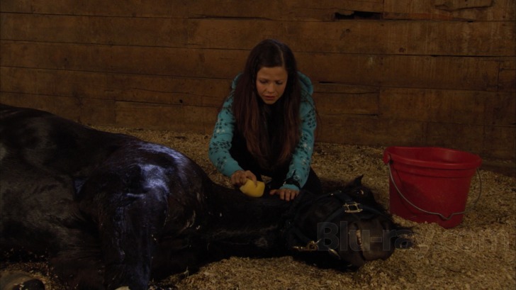 Flicka 2 Blu-ray (Blu-ray + DVD)