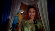 The 7th Voyage of Sinbad Blu-ray