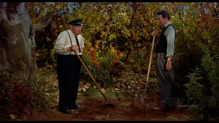 The Trouble with Harry Blu-ray (Alfred Hitchcock Masterpiece Series)