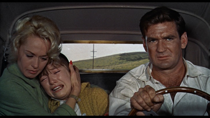 The Birds Blu-ray (Blu-ray + Digital HD)